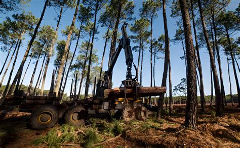 Global Forestry And Logging Market 2024 Trends And Growth Forecast