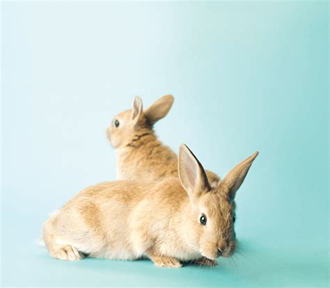 How To Handle A Crush When You Re Already Committed Chatelaine