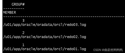 oracle 联机重做日志文件的布置 移动，多路复用 添加联机重做日志文件reuse csdn博客