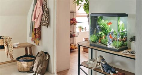 10 Accessoires Indispensables Pour Son Aquarium Gamm Vert