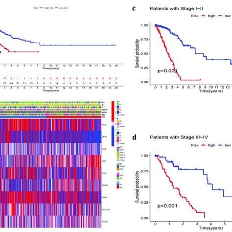 Differences In Clinical Characteristics Between The Different Risk