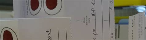 Molecular Exercise Physiology Professorship Of Exercise Biology