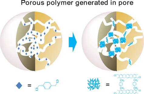 Hyper Cross Linked Resin Modified By A Micropore Polymer For Gas