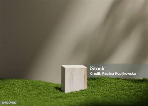 3d 디스플레이 연단 베이지 색 배경과 자연 녹색 잔디와 태양 그림자 자연 최소한의 나무 받침대 아름다움 화장품 프리젠 테이션 봄 여름 풍경 배너 템플릿 3d 렌더링 풀