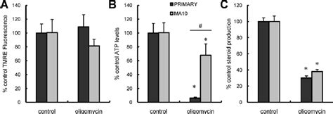 Effect Of Oligomycin On Lh Stimulated Mitochondrial Dw Intracellular