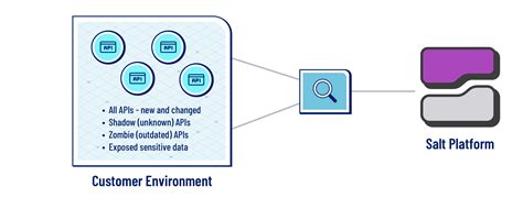 The Salt Security Api Protection Platform
