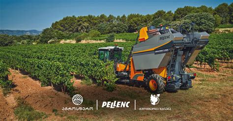 როგორ გავაიაფოთ და გავამარტივოთ ყურძნის მოსავლის აღება აგროსფეროსა და მეღვინეობა ხარებას