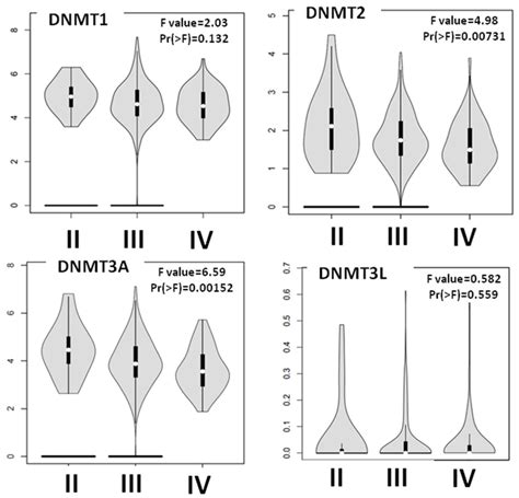 Dnmts Mrna Expression According To Stage Dnmt2 And Dnmt3a Levels