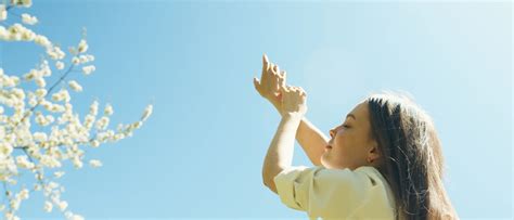 Infp Fine 8 Cognitive Functions Analyzing The Mediator