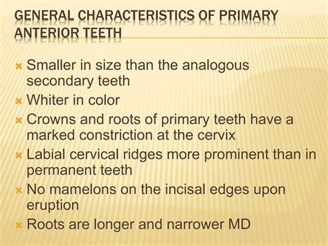 Primary Teeth Pptx