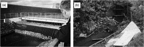 A Screen Protecting Inlet To Large Culvert With Leaf Litter Download Scientific Diagram