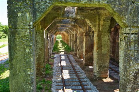 「vellappam」の画像 1902 件の Stock 写真、ベクターおよびビデオ Adobe Stock