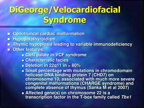 Ppt The Primary Immunodeficiencies Powerpoint Presentation Free Download Id 2139639