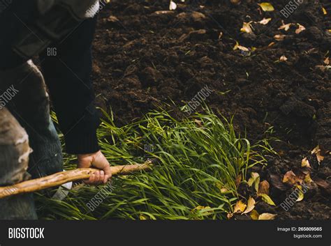Man Digging Garden Image Photo Free Trial Bigstock