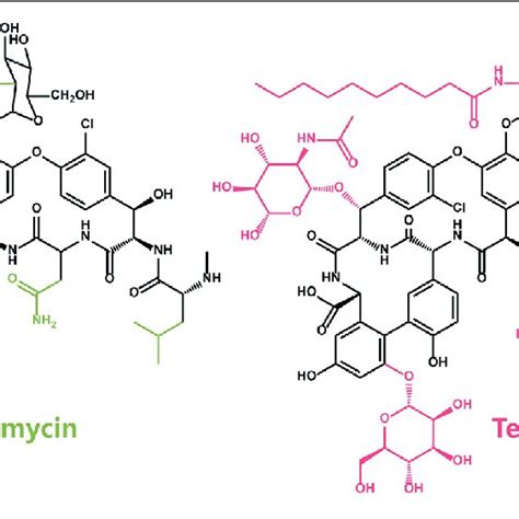 The Chemical Structure Of Vancomycin V And Teicoplanin T Download Scientific Diagram