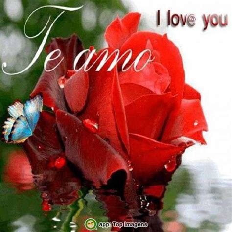 Te Amo Top Imagem 11316