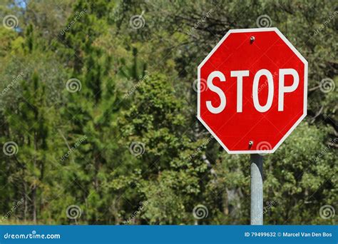 Stop Deforestation Royalty Free Stock Image 79499632
