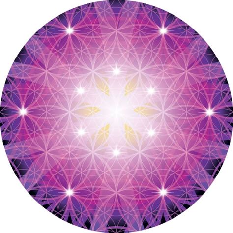 Pictures Of Loridawn Messuri