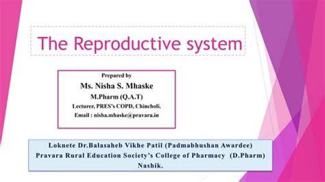 Human Reproduction Pptx Class Xii Biology Pptx Infertility Reproductive Health