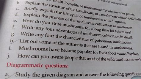 B Explain The Structure Of The Basidiocarp Of A Mushroom With A Labelled