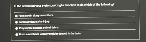 Solved In The Central Nervous System Microglia Function To Chegg