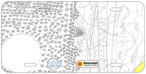 Damar Thomas Hillsborough County Tax Collector