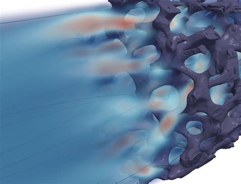Openlb Open Source Lattice Boltzmann Code