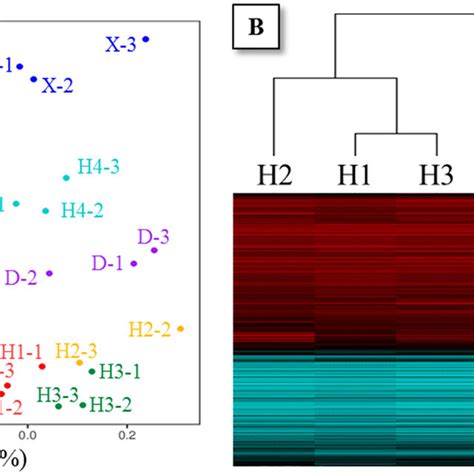 principal component analysis a and hierarchical clustering b of