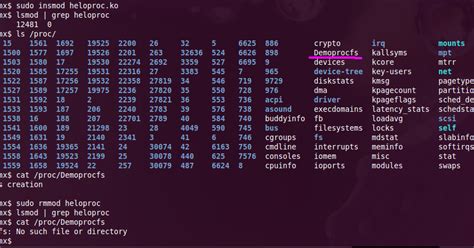 How To Add Proc File System Entry For The Module Illustrated Here