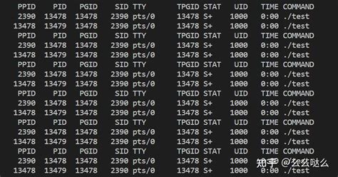 Linux Waitpid函数 知乎