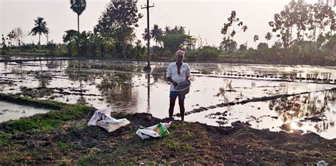 Magasool Soil Management