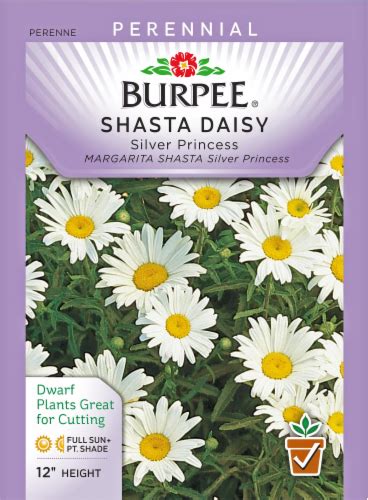 Burpee Shasta Daisy Silver Princess Seeds White Yellow Ct Frys Food Stores