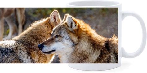 Beker Wolf Roedel Bol