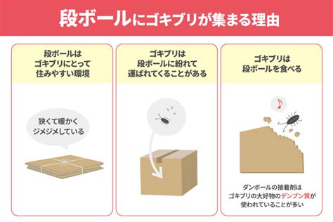 段ボールはゴキブリの卵の温床！段ボールをゴキブリが好む理由と対策を解説 ゴキブリ駆除なら24時間完全対応のゴキブリ駆除24【再発率1％】