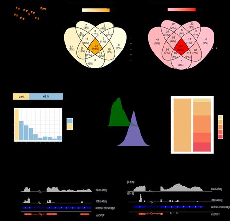 Translation Of Ncorfs In Tumor Expressed Lncrnas A Prediction Of Download Scientific Diagram