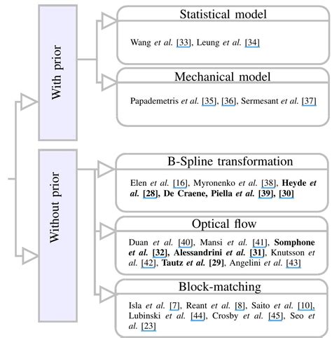 Classification Of Motion And Strain Quantification Methods