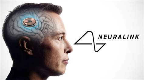 Blog Economie Numérique Neuralink Un Premier Pas Vers Des Humains