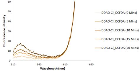 13 Ros Assay On Dcfda As A Control A Minimal Increase In Dcfda