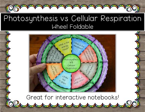 Photosynthesisvs Cellular Respiration Foldable Photosynthesis Vs
