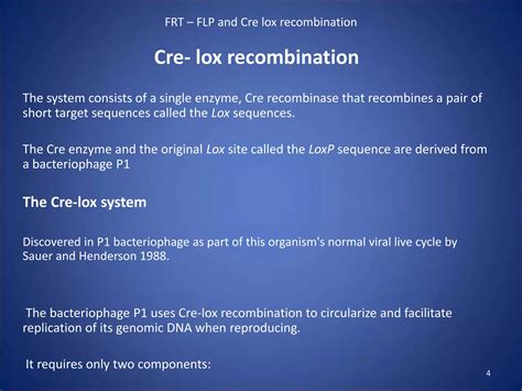Recombinase Cre Lox And Flp Frt Ppt Chemistry Science