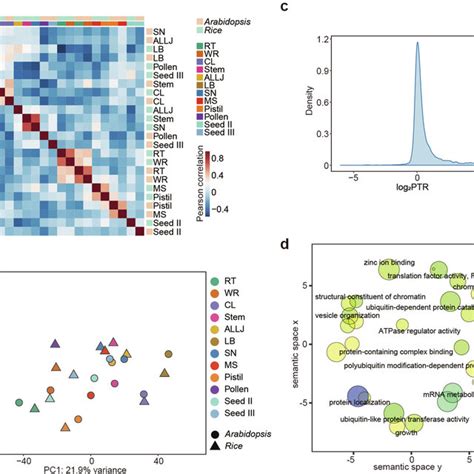 Proteome Comparative Analysis Between Arabidopsis And Rice A A Venn Download Scientific