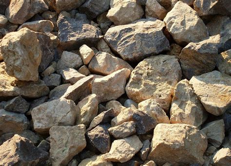 Roca Sedimentaria Qué Es Clasificación Definición Y Concepto