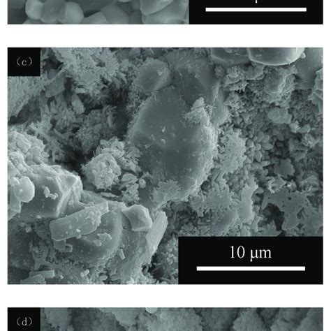 Scanning Electron Micrographs Of A Porous Pzt Ceramics And Pzt Pc Download Scientific Diagram