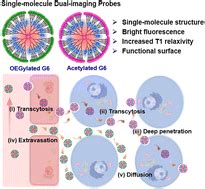 Surface Chemistry Mediates The Tumor Entrance Of Nanoparticles Probed Using Single Molecule Dual