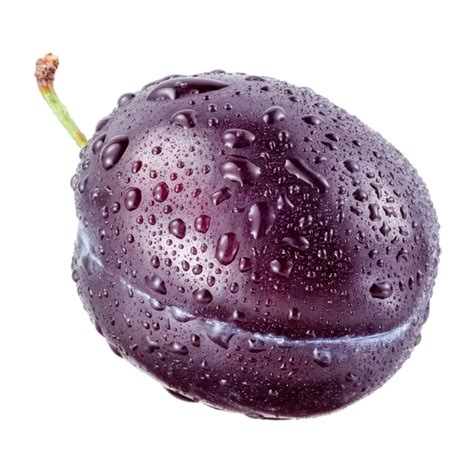 Stockfotos Van Natte Pruim Rechtenvrije Afbeeldingen Van Natte Pruim Depositphotos