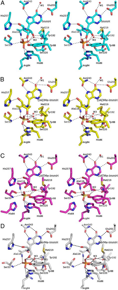 Stereoviews Of Four Generations Of Transition State Analogue Inhibitors