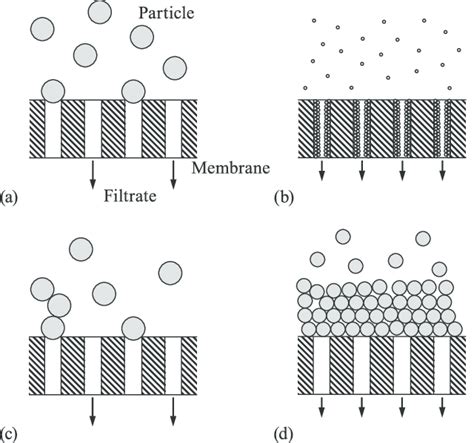 Schematic View Of Four Fouling Patterns In Blocking Filtration Laws Download Scientific