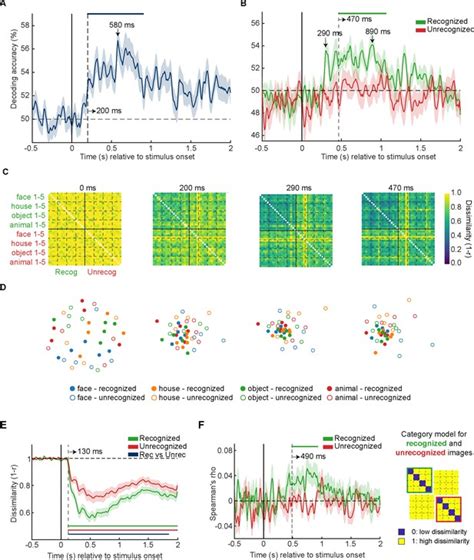 Spatiotemporal Neural Dynamics Of Object Recognition Under Uncertainty In Humans ELife