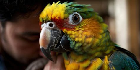 Squawking Parrot Stock Illustrations 112 Squawking Parrot Stock