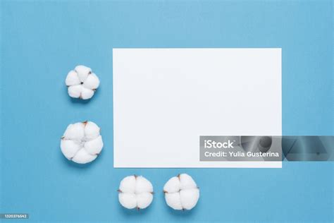 파란색 파스텔 종이 배경에 빈 흰색 종이 카드 모형과 면꽃 웨딩 초대 서식 파일 상단 보기 플랫 레이 복사 공간 0명에 대한